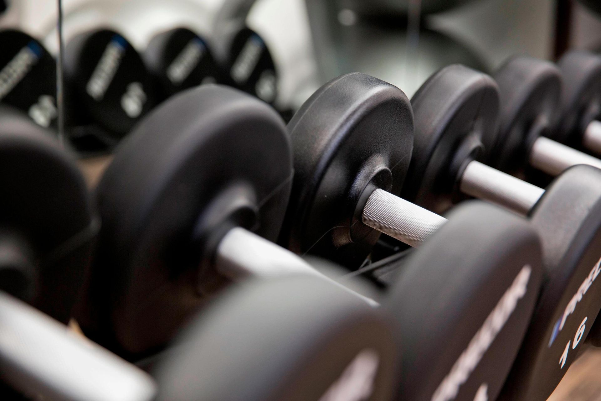 Top bodybuilding coaches near you - find a bodybuilding personal ...